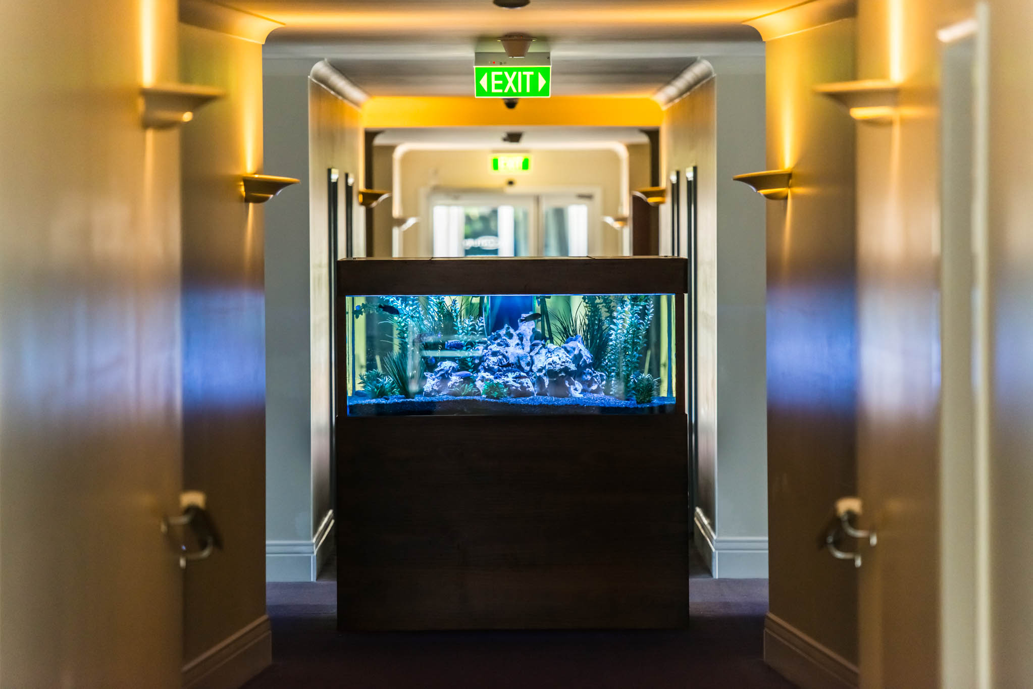 Century Inn Traralgon | Restaurant, Bar, Rooms in Victoria | Gallery